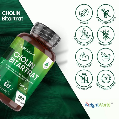 Cholin Bitartrat | Unterstützung der kognitiven Leistung | Slimcenter